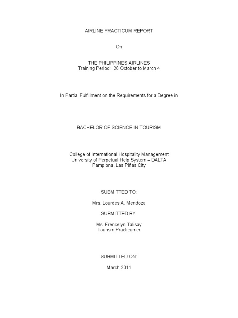 Airline Practicum Report | PDF