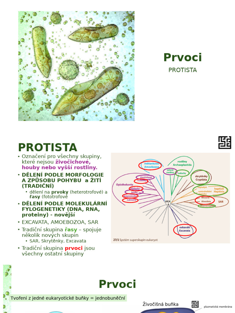 2 Prvoci | PDF