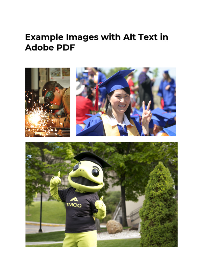 Sample Images | PDF