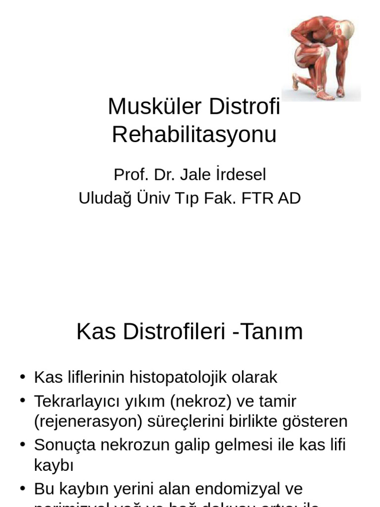 Kas Distrofi Rehabilitasyonu | PDF
