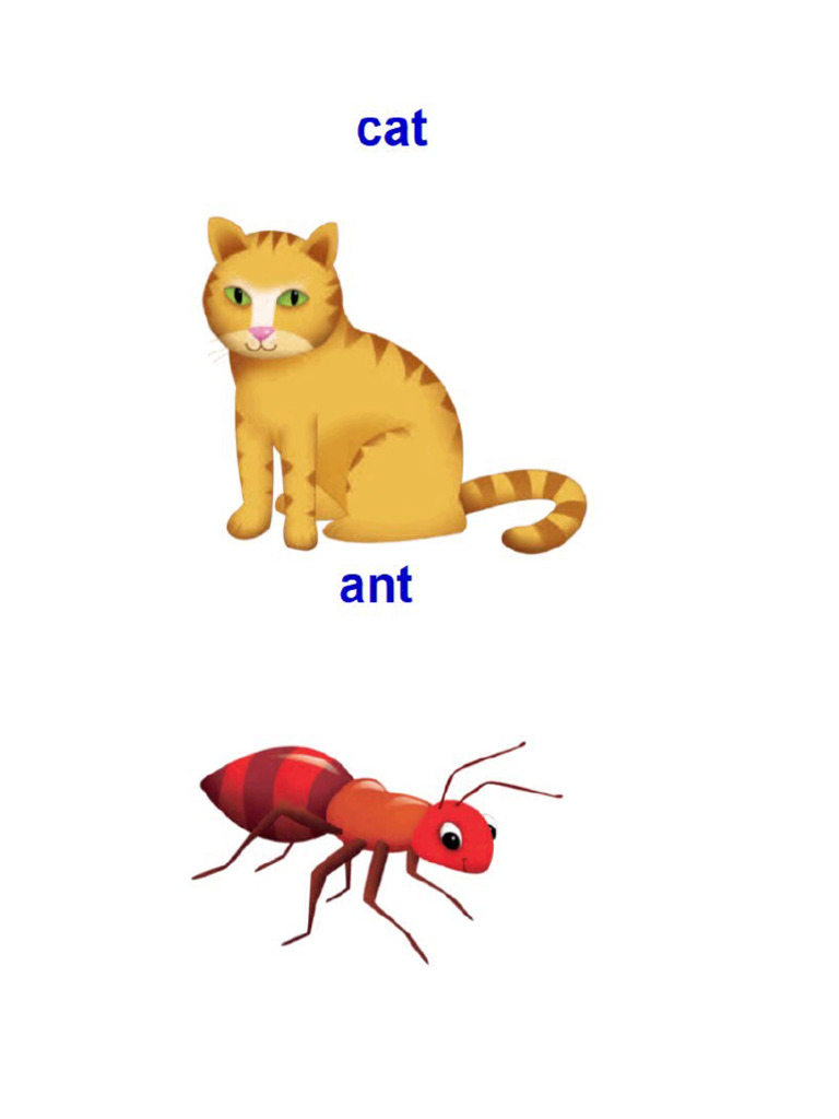 Unit 1 Phonics 2 | PDF