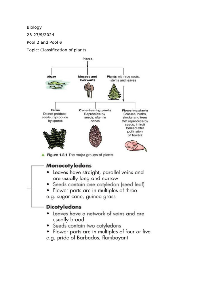 Classification of Plants Notes g10 | PDF