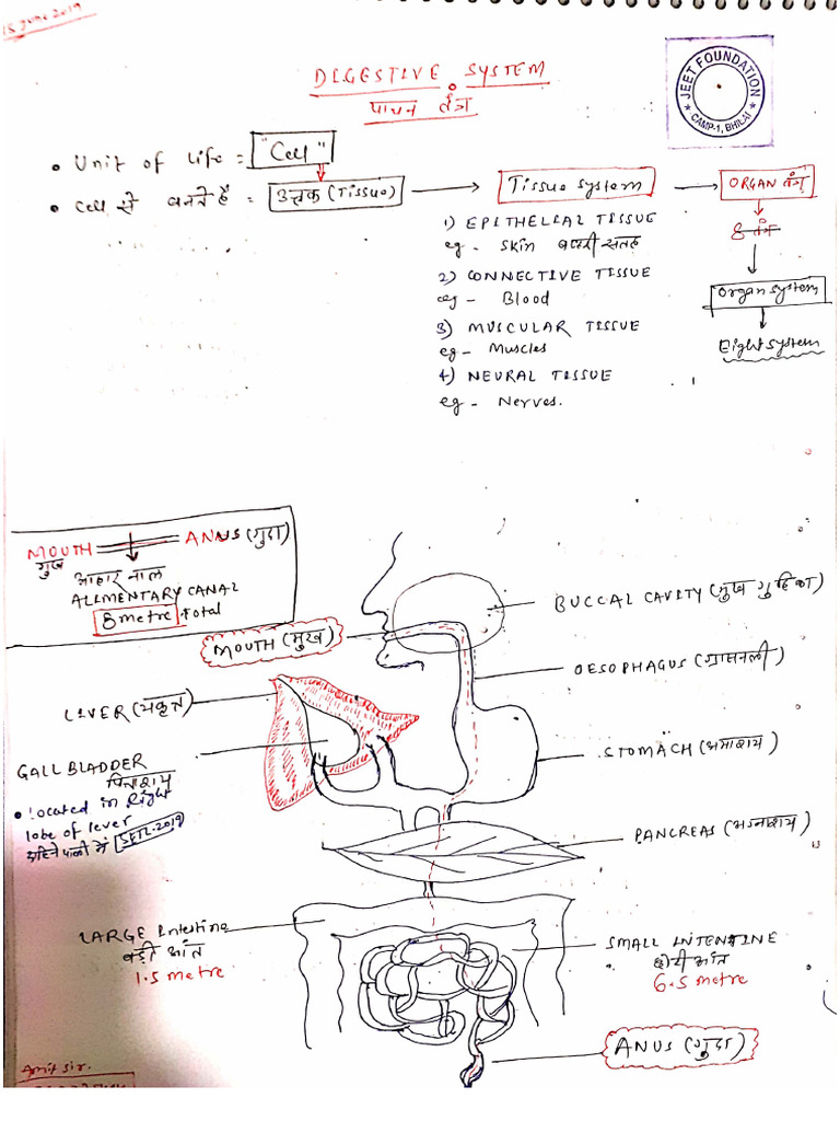 Digestive system पाचन तंत्र by Prem sir - 63891529 - 2025 - 08 - 09 ...