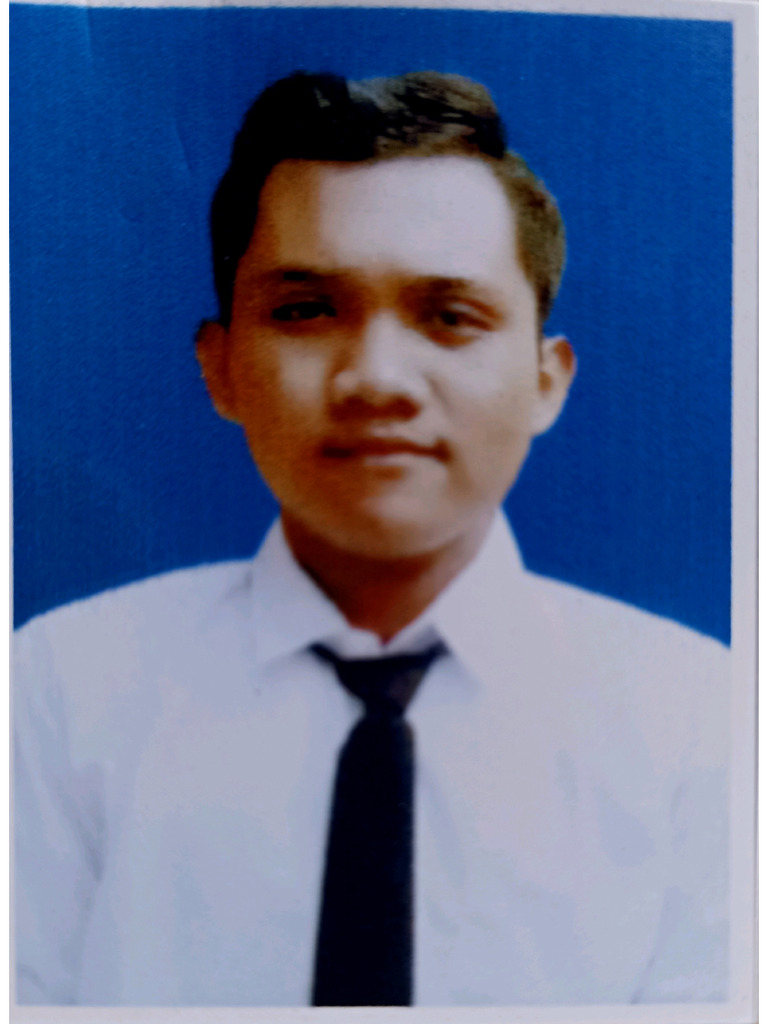 CV Ibrahim | PDF