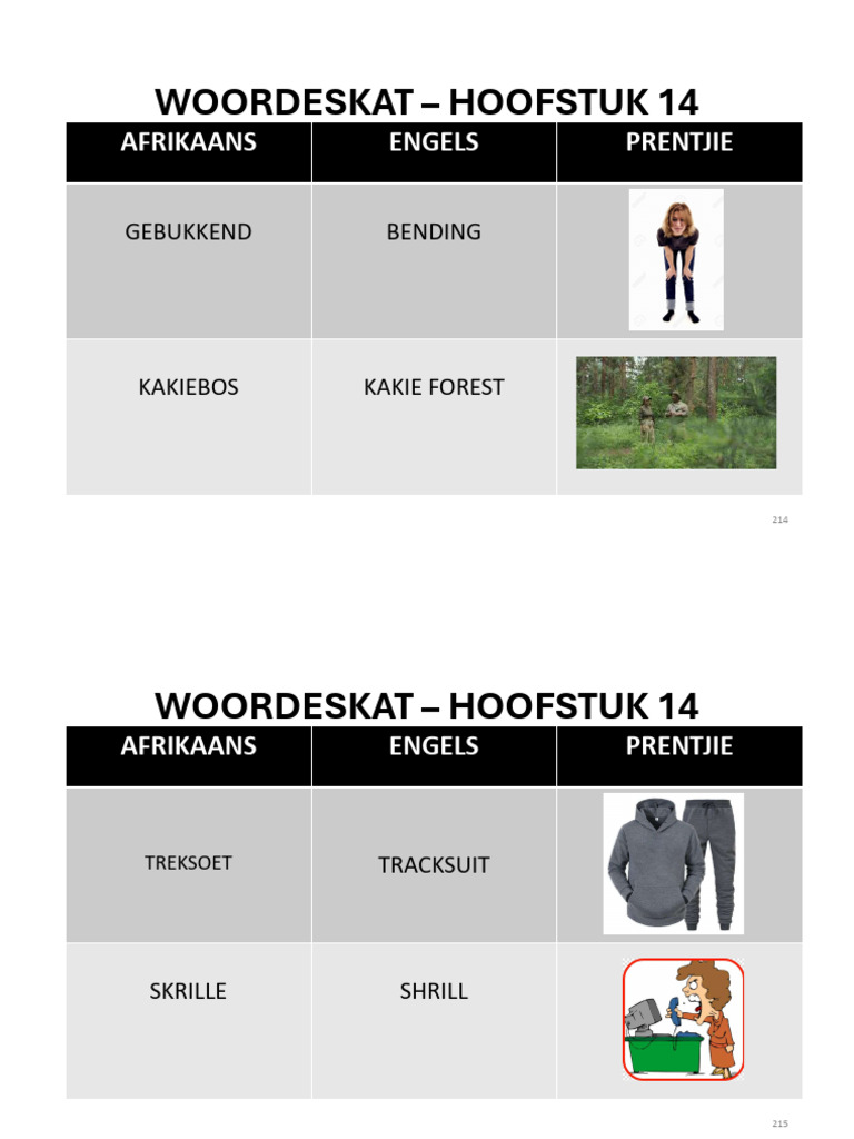 Hoofstuk 14 - Woordeskat | PDF