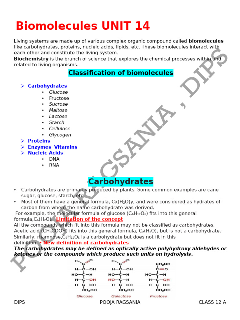 Biomolecules UNIT 14 | PDF | Carbohydrates | Amino Acid