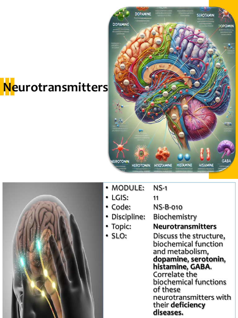 LGIS-11 NS-1 Neurotransmitters 21-11-2024 | PDF | Neurotransmitter ...