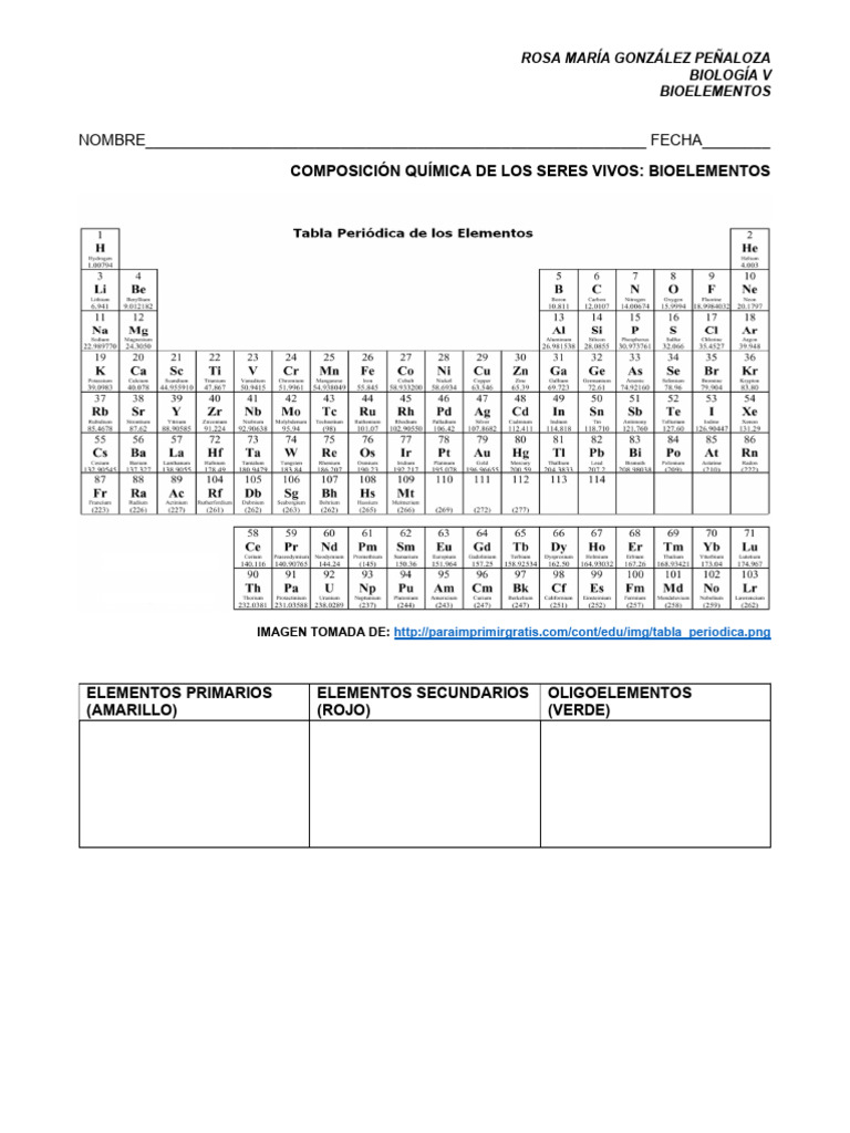 Bio Elementos | PDF