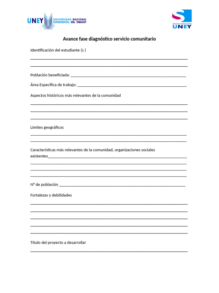 Formato Avance Fase Diagnóstica. | PDF