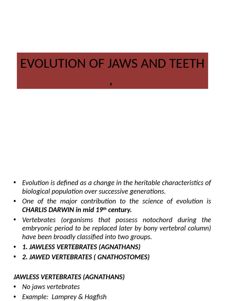 Evolution of Jaw and Teeth | PDF | Tooth | Dental Anatomy