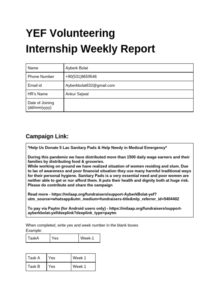YEF Internship Weekly Report Summary | PDF
