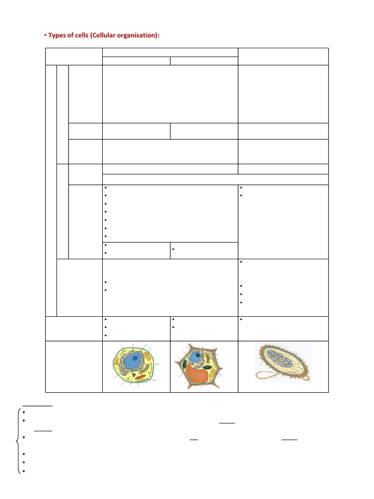 2 (Ii) Types of Cells - Cell Organisation | PDF | Cell (Biology ...