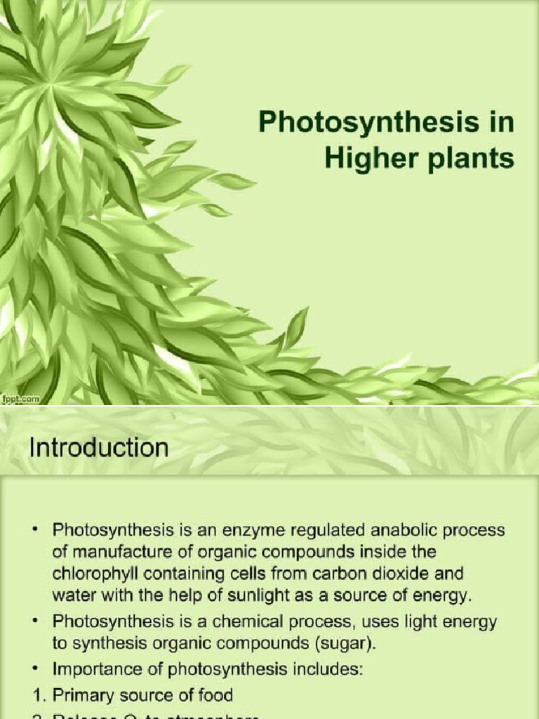 Photosynthesis in Higher Plants Class 11th Biology | PDF