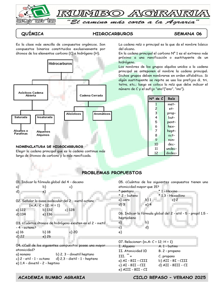 11.-HIDROCARBUROS | PDF | Hidrocarburos | Alcano