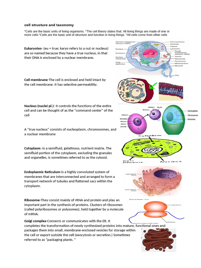 Cell Structure and Eukaryotic Taxonomy | PDF | Cell (Biology) | Cell ...