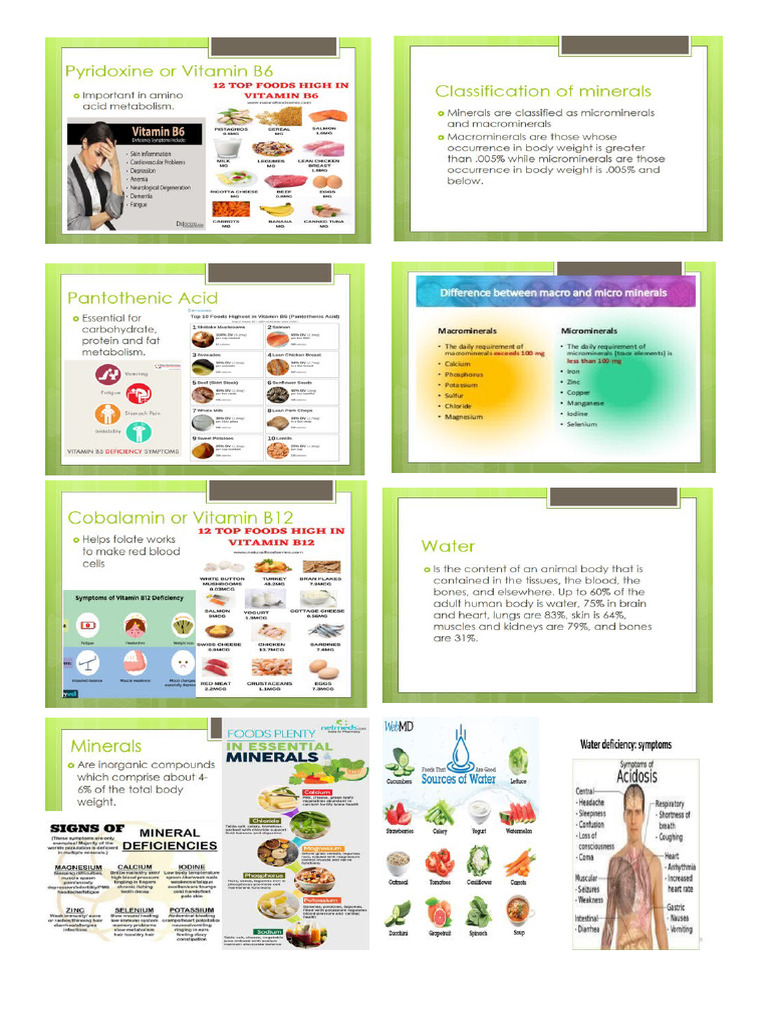 Vitamins | PDF
