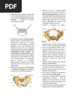 Tipos de Pelve e Suas Características | PDF