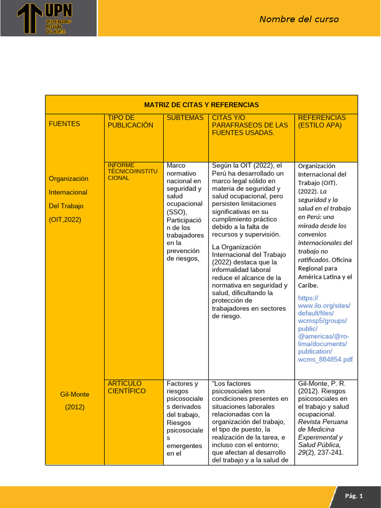 Seguridad y Salud Ocupacional en Perú | PDF | Trastorno mental ...