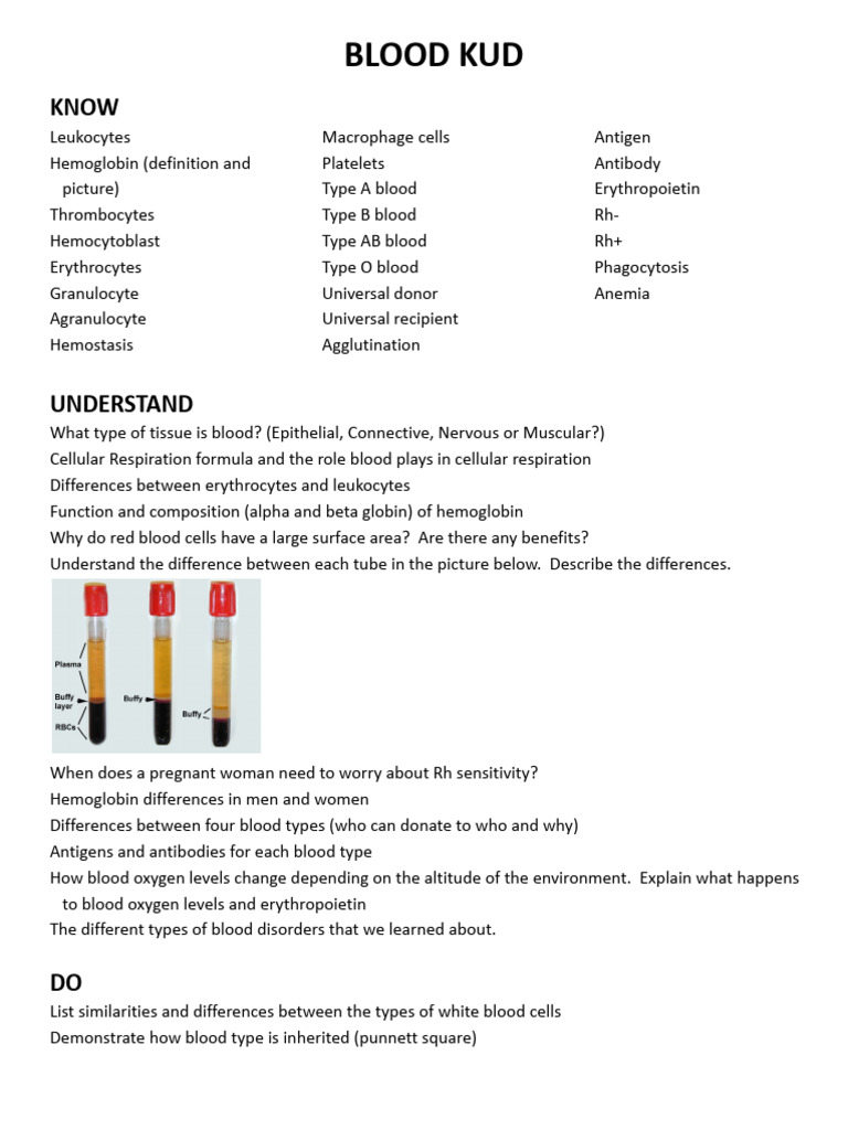 2025 Blood KUD | PDF