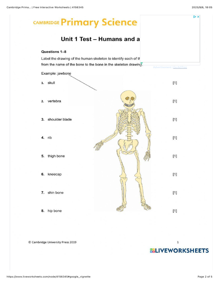 Cambridge Prima - Free Interactive Worksheets - 4156345 | PDF