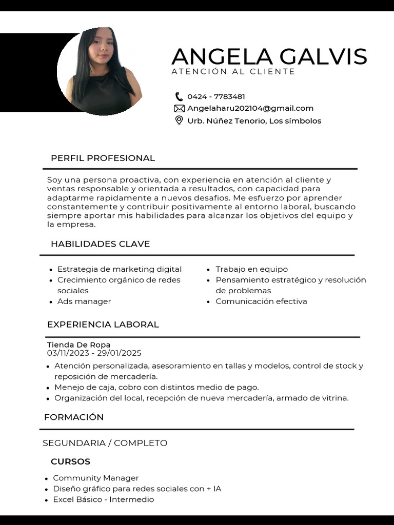 CV Profesional - 20250825 - 083905 - 0000 | PDF