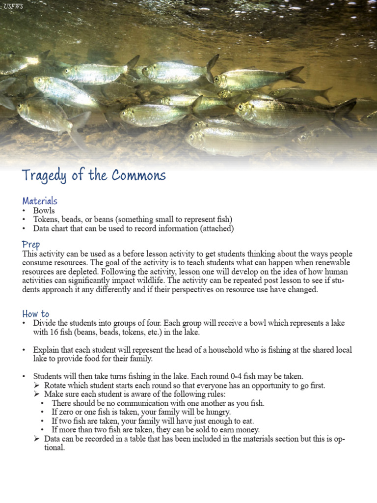 Tragedy of The Commons LAB | PDF | Social Psychology | Natural Environment