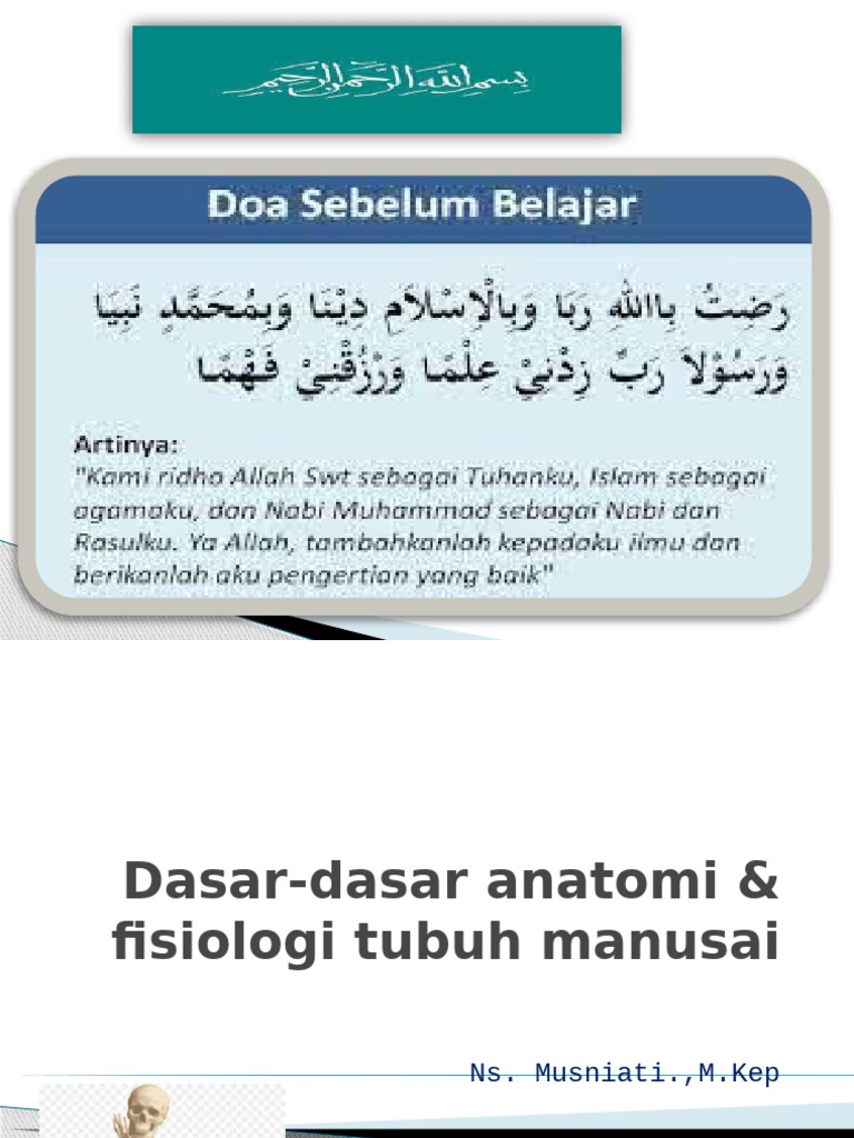 Dasar Anatomi dan Fisiologi Manusia | PDF