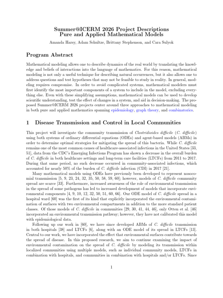 Summer ICERM Web Information Project Descriptions 2026 | PDF ...
