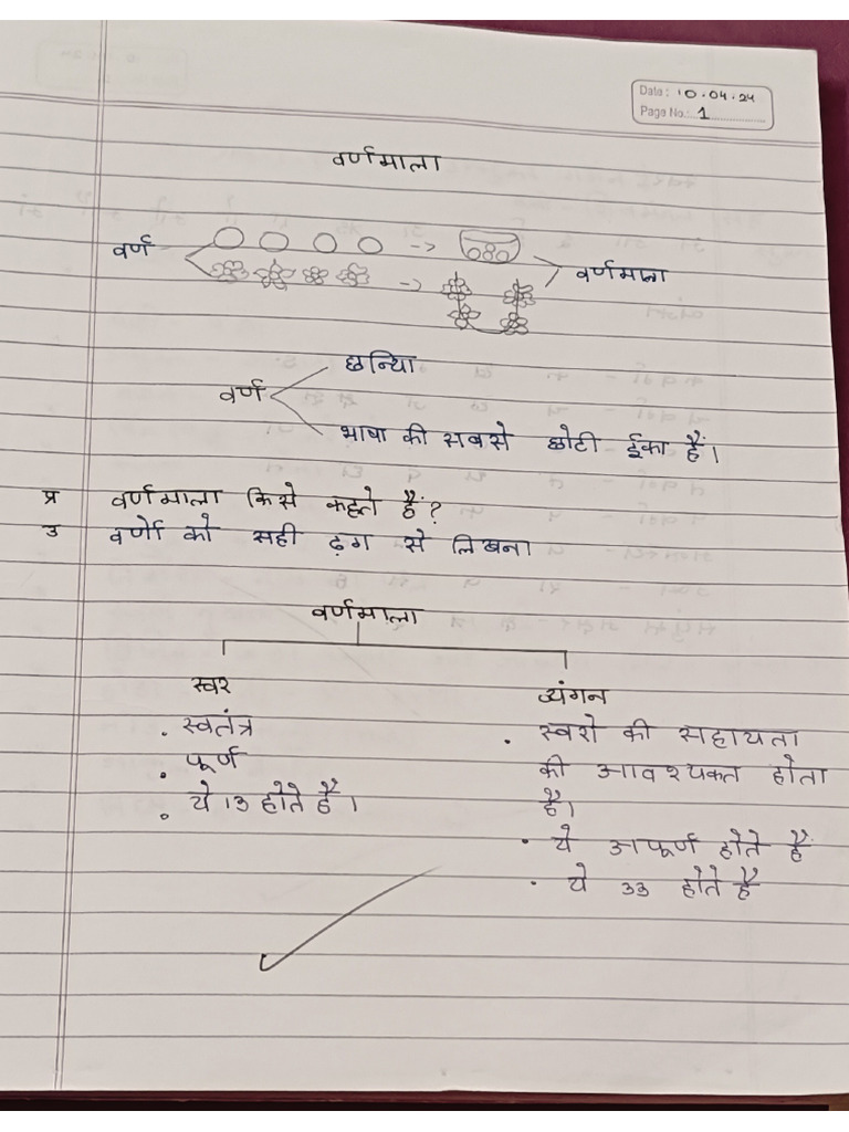 Hindi Notes | PDF