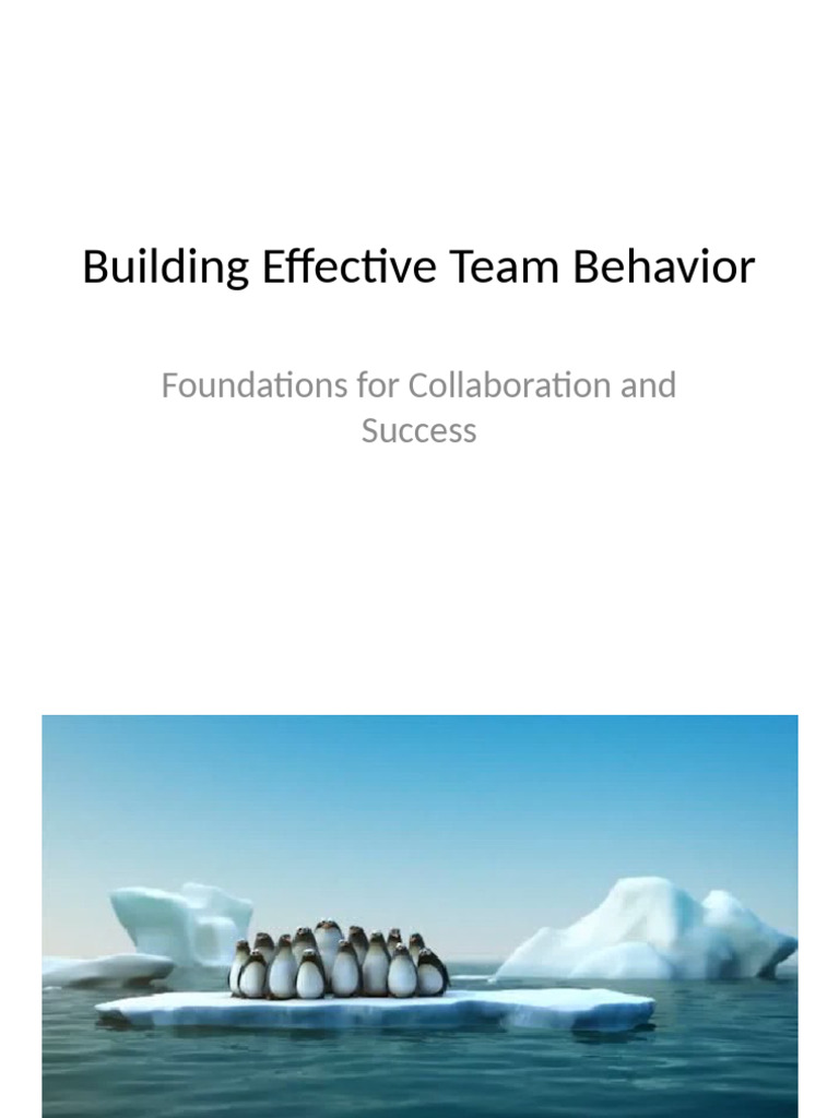 Effective Team Behavior Strategies | PDF | Communication | Psychology