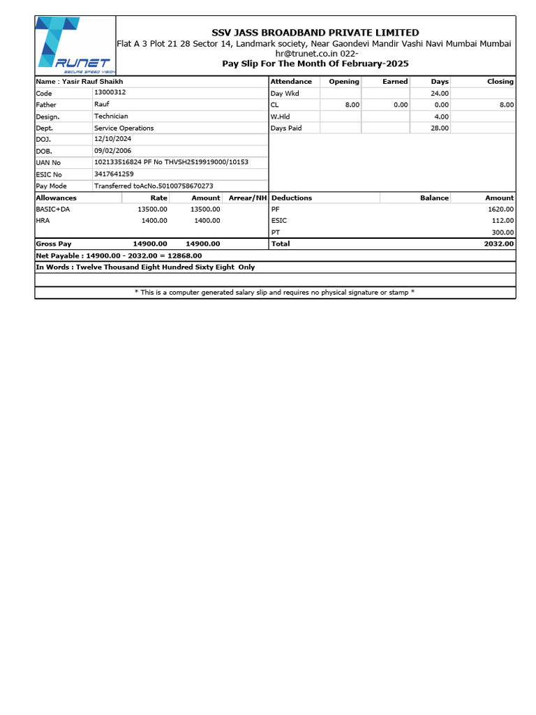 February 2025 Pay Slip for SSV JASS | PDF