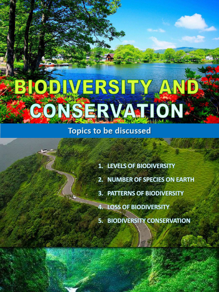 Understanding Biodiversity Levels and Conservation | PDF | Biodiversity ...