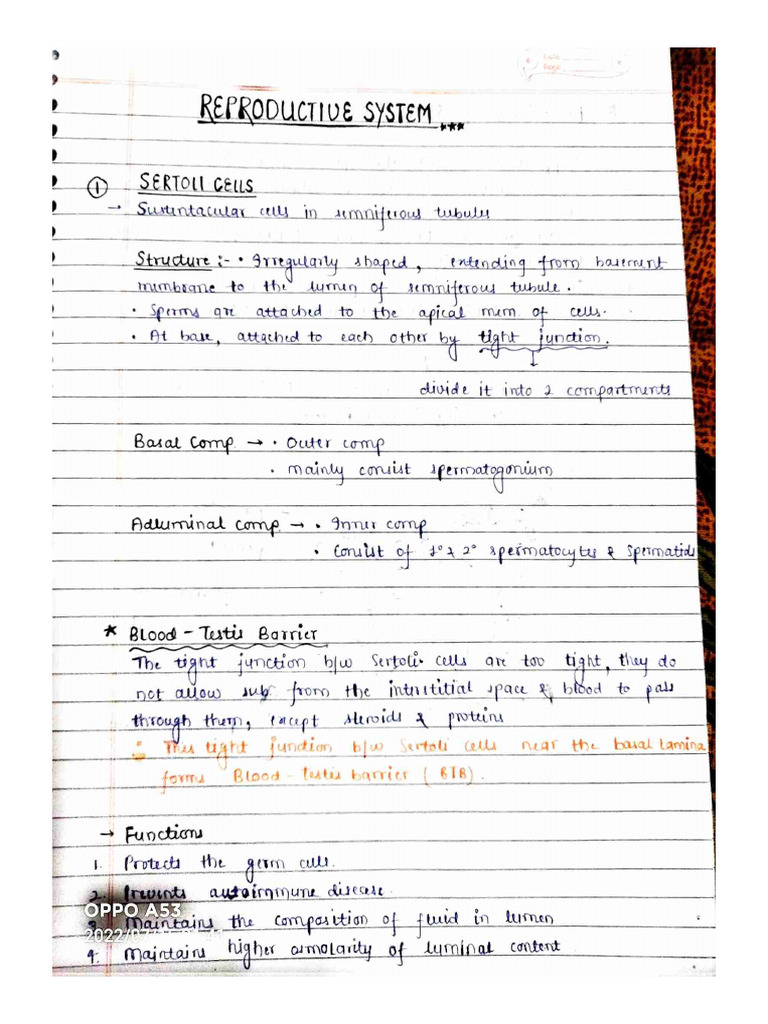 Physiology - 3 Johari Mbbs 2 | PDF