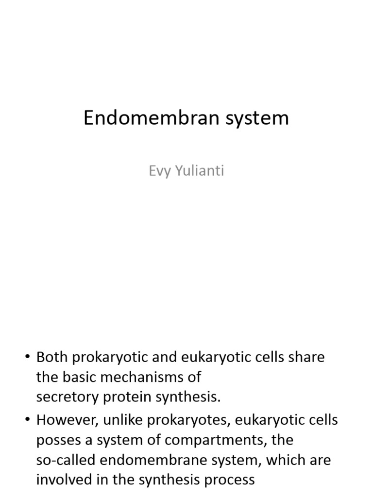Struktur Dan Fungsi Sistem Endomembran.ppt | PDF | Cell Nucleus | Protein Targeting