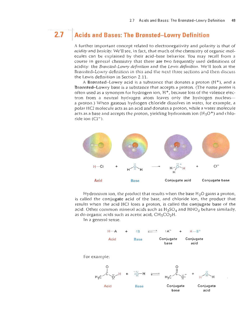 Organic Acids and Bases | PDF