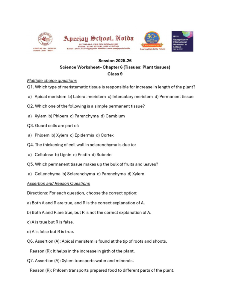 Plant Tissues: Class 9 Worksheet | PDF | Tissue (Biology) | Organisms