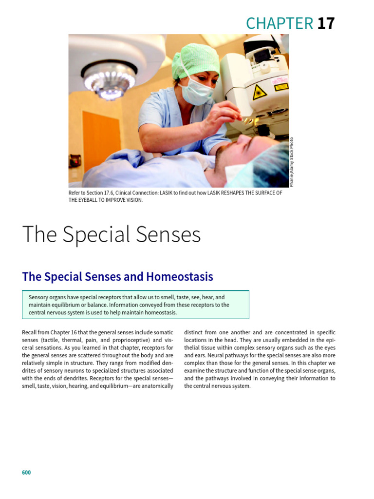 Senses | PDF | Taste | Senses