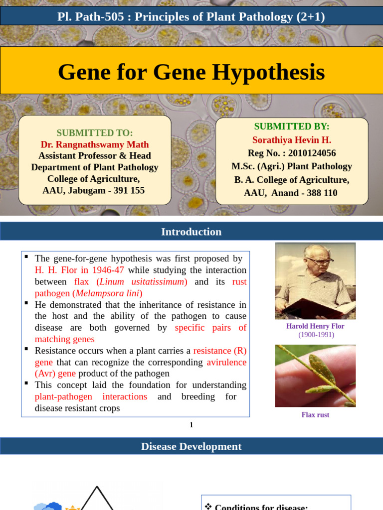 Hevin (Gene For Gene Hypothesis) | PDF | Branches Of Botany | Biology