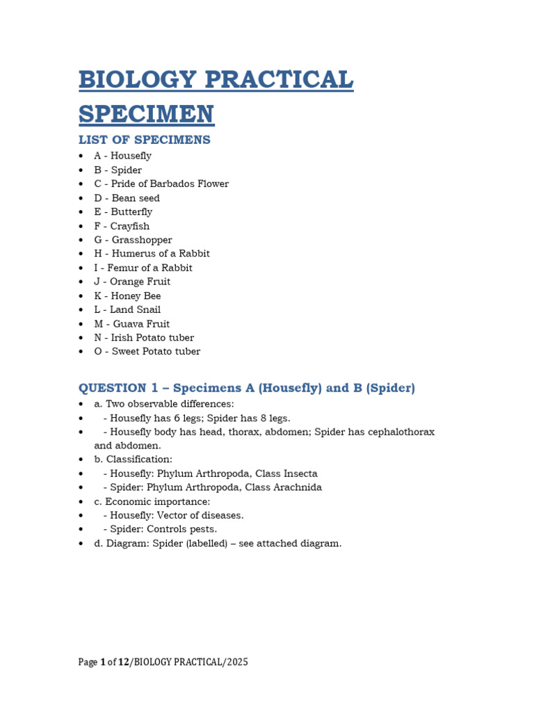 2025 Biology Practical Specimen Guide | PDF | Insects | Flowers