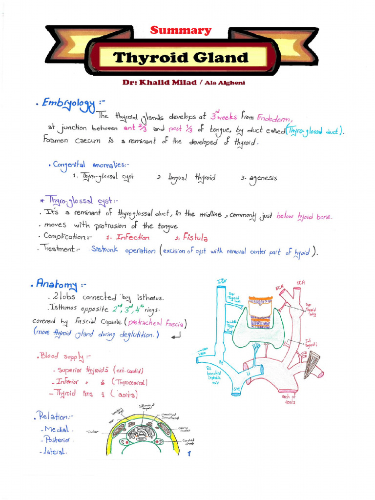 Thyroid Summary | PDF