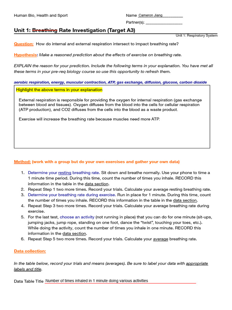 Breathing Rate and Exercise Impact Study | PDF | Breathing | Cellular ...
