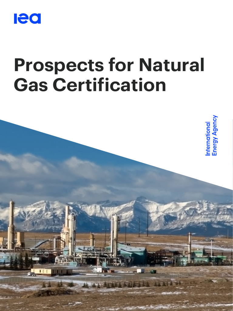 Prospects For Natural Gas Certification | PDF | Natural Gas ...