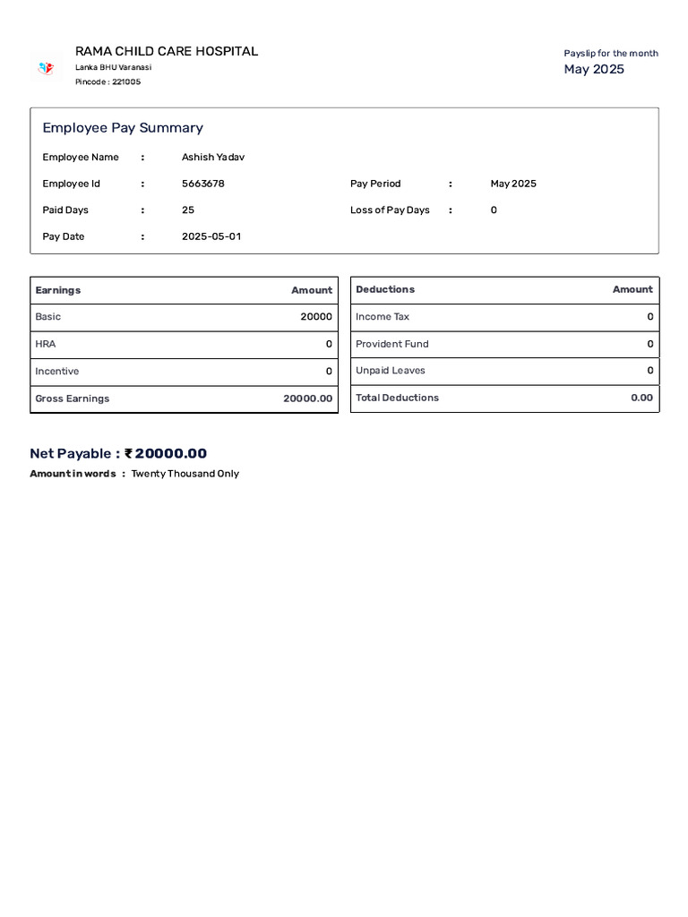 Free Payslip Generator Online - Create Custom Payslips | PDF