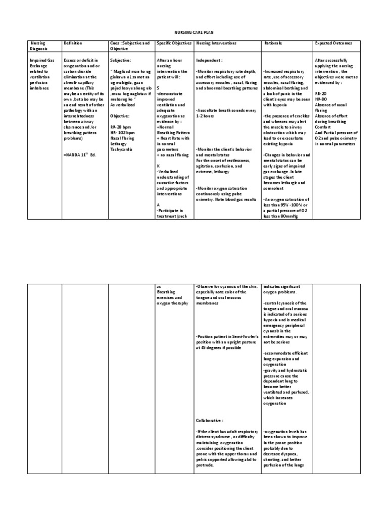 Nursing Care Plan | PDF | Respiratory System | Breathing
