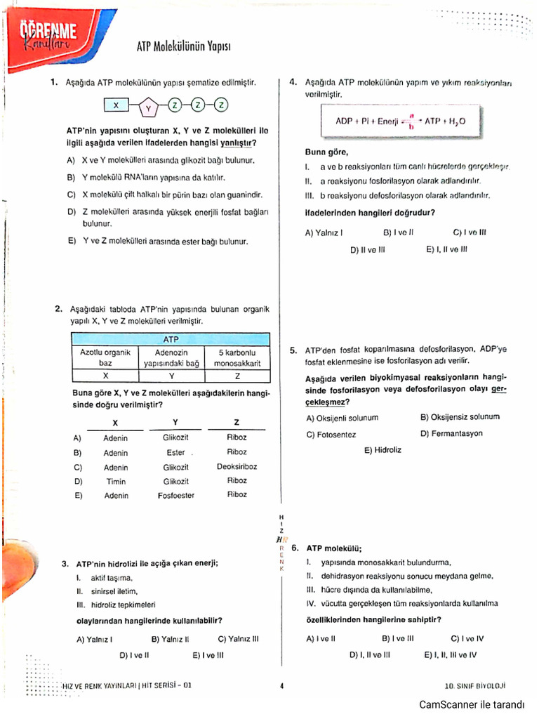 10.sinif Atp Ve Yapısı | PDF