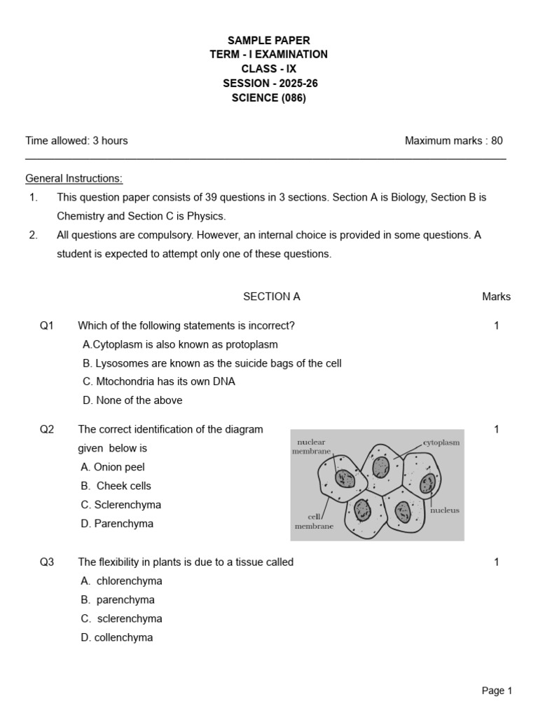 Class IX Science Term I Exam Paper | PDF | Tissue (Biology) | Cell Biology