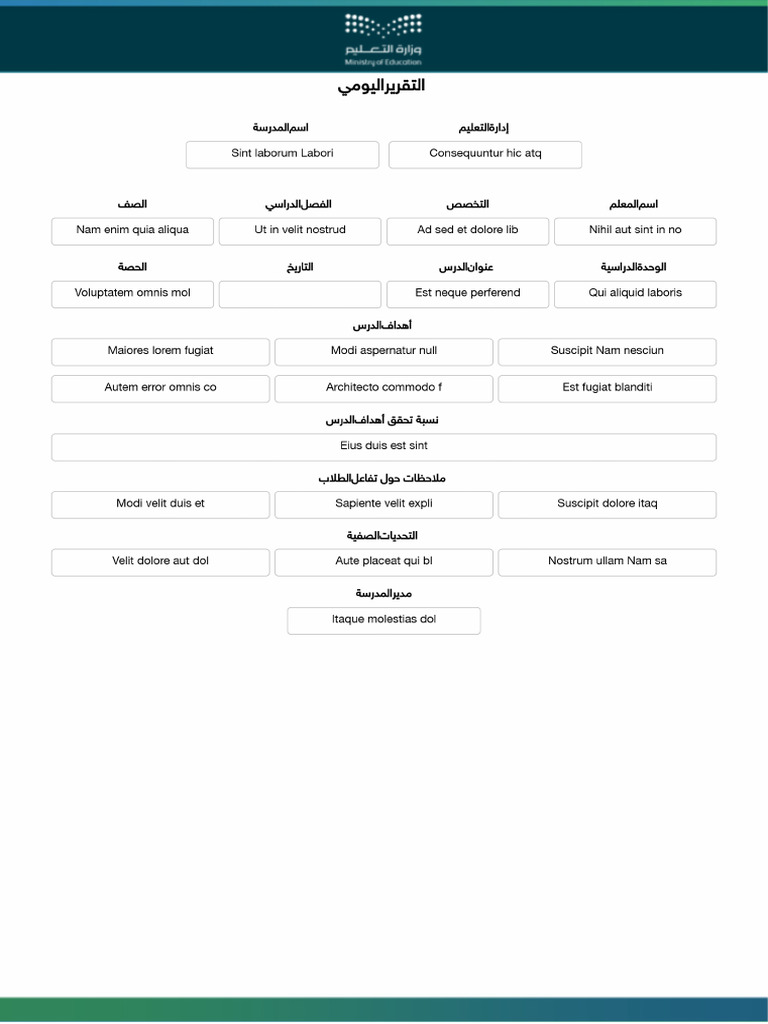 Daily Report (2) | PDF