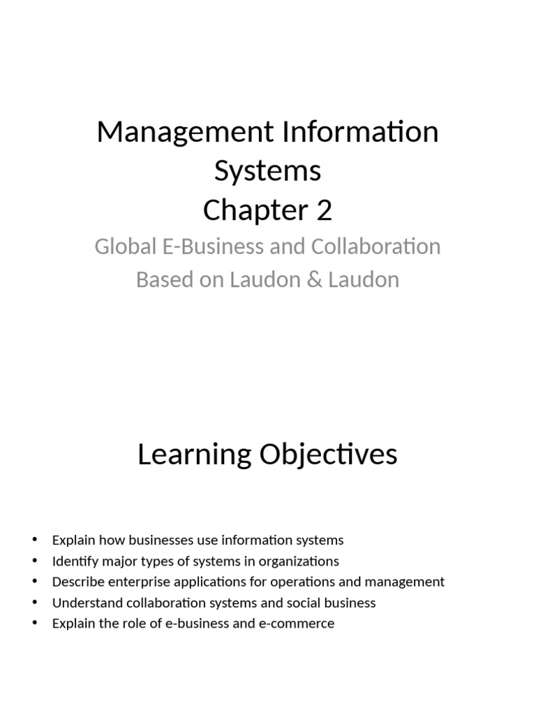 Understanding Business Information Systems | PDF