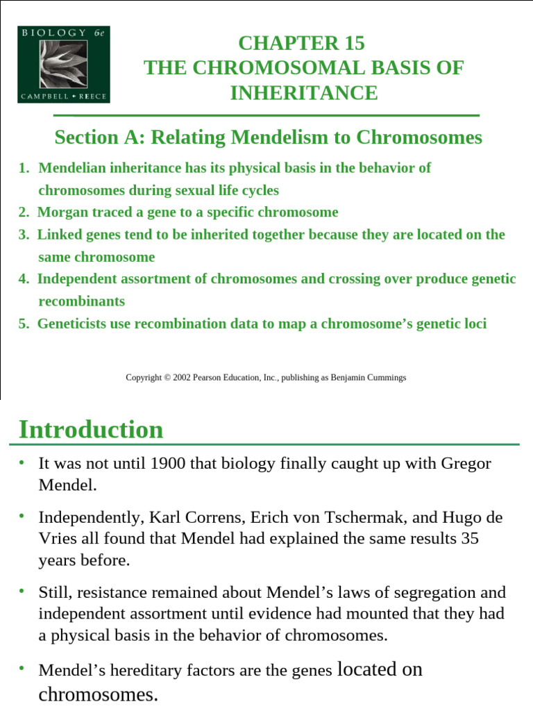 Chromosomal Basis of Inheritance | PDF | Genetic Linkage | Zygosity