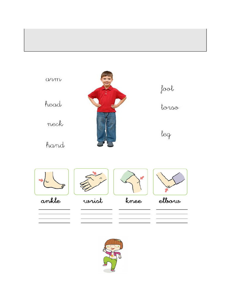 My Body Skills Test Activities | PDF